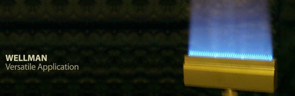 Wellman Engineers And Burners Pvt. Ltd. ~ Home Page
